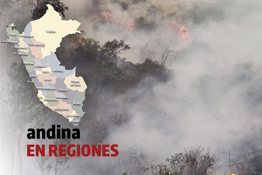 Andina En Regiones 500 Hectáreas De Flora Y Pastizales Devastadas Por